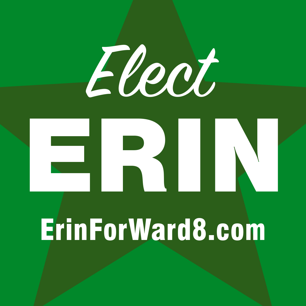 Square-graphic – Erin Conley, Ward 8 Alderwoman, Springfield, Illinois